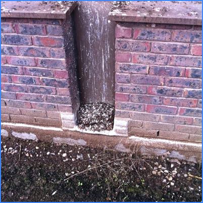 Bird Management Solutions - Why Proof?